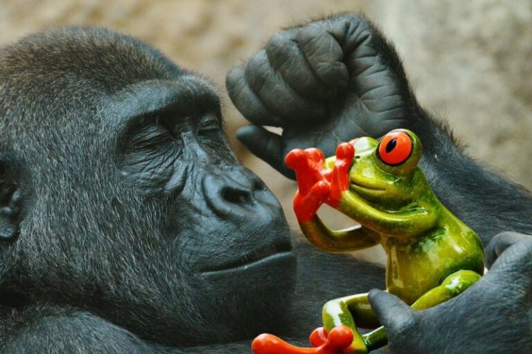 10 Animals With Opposable Thumbs - Online Field Guide