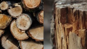 Is Wood A Renewable Resource? - Online Field Guide