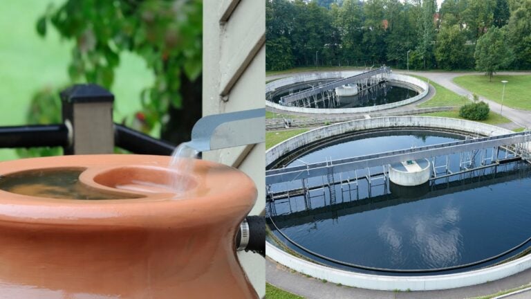 Why Water Conservation Is So Important - Online Field Guide