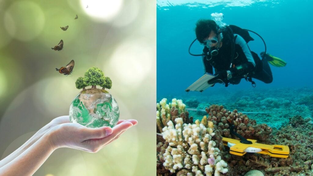 Conservation of Marine Biodiversity - An Introductory Guide - Online ...