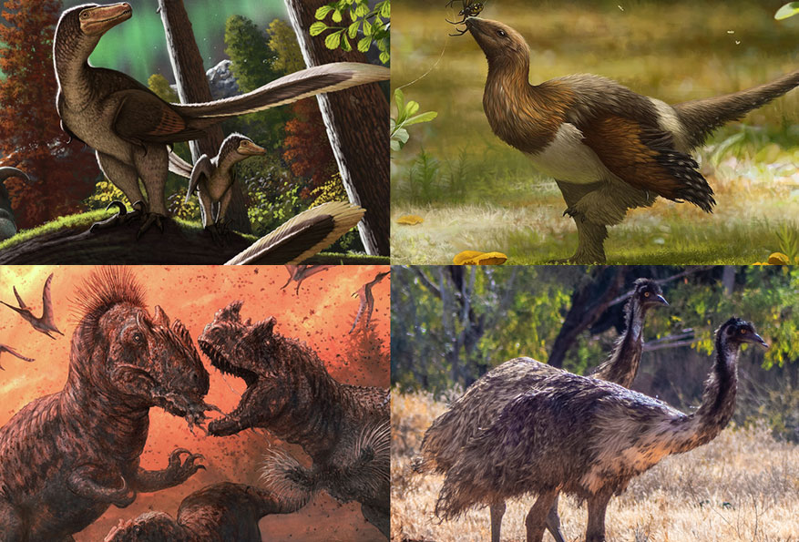 Are Birds Related To Dinosaurs? - Online Field Guide